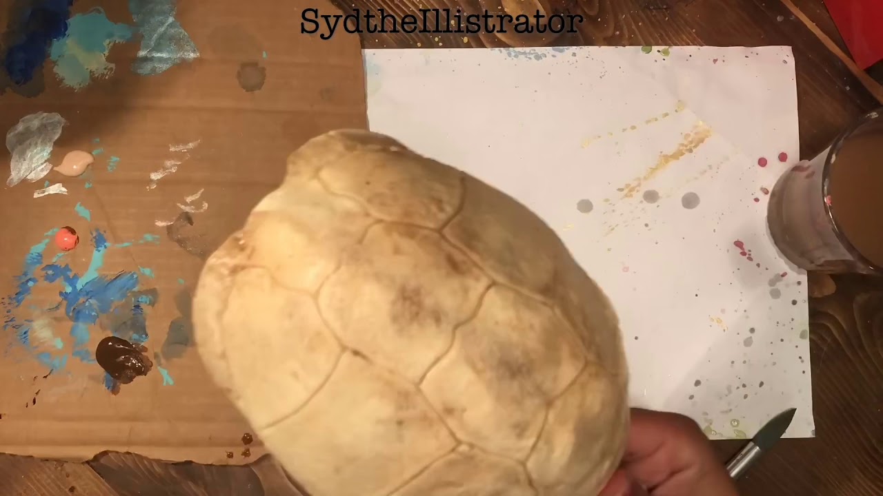 How To Paint A Turtle Shell Time lapse music Only how-to-paint-a-turtle-shell-time-lapse-music-only