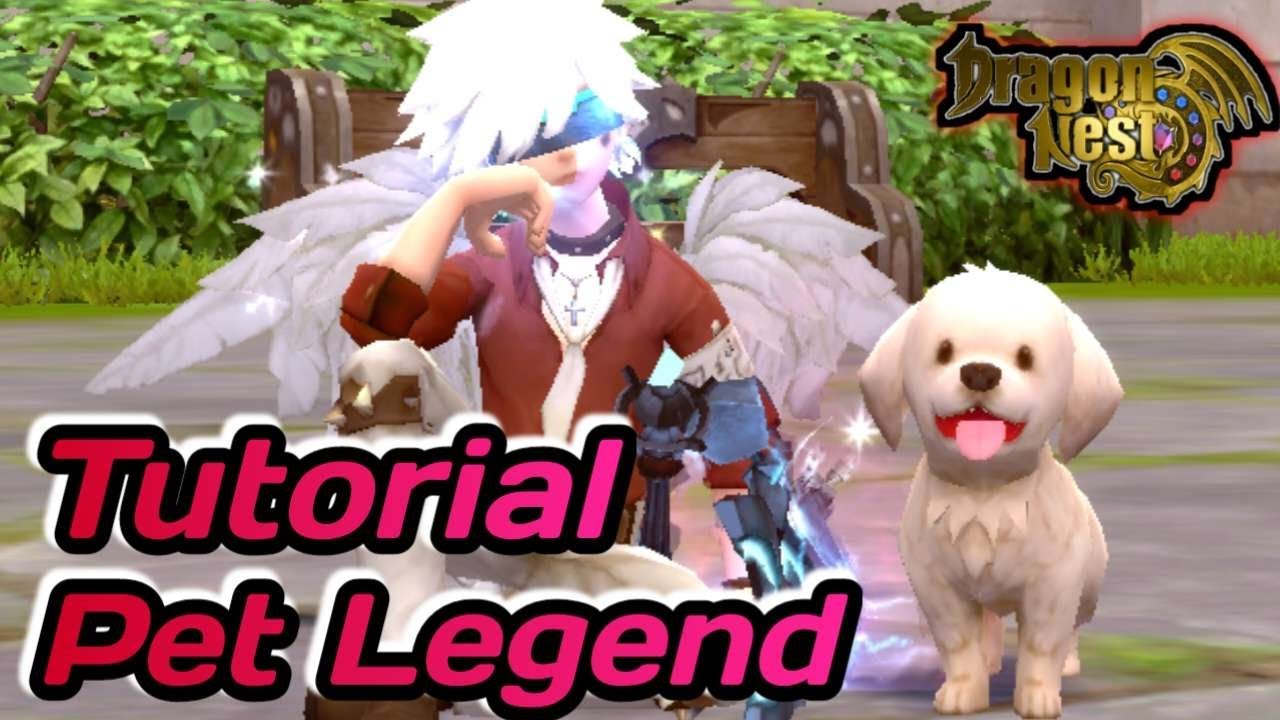 Tutorial Pet Legend Baru Dragon Nest SEA - YouTube