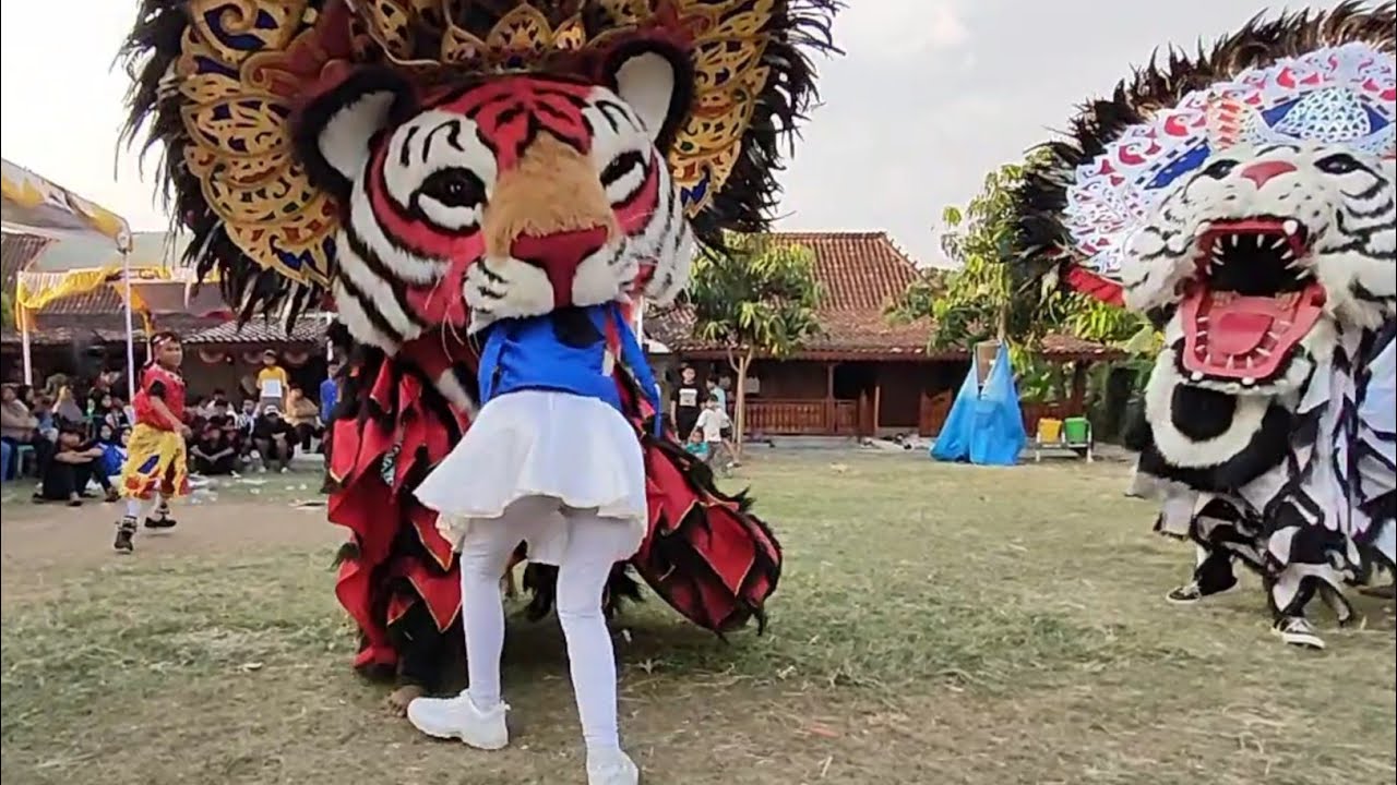 Mayoret Cantik Dicaplok Barongan‼️ Drumband BKJ Live Tlogotirto ...