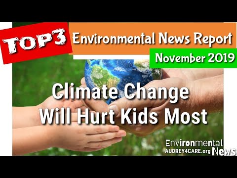 Top 3 Environmental News Report | November 2019 | AUDREY4CARE - YouTube
