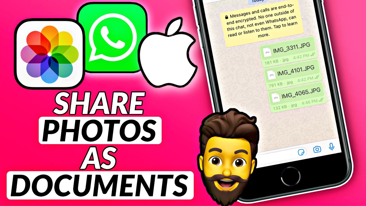 How To Send Photos As Document In WhatsApp In IPhone I Share Images As how-to-send-photos-as-document-in-whatsapp-in-iphone-i-share-images-as