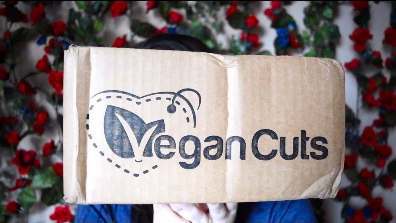 VEGAN CUTS SNACK BOX | NOVEMBER UNBOXING - YouTube