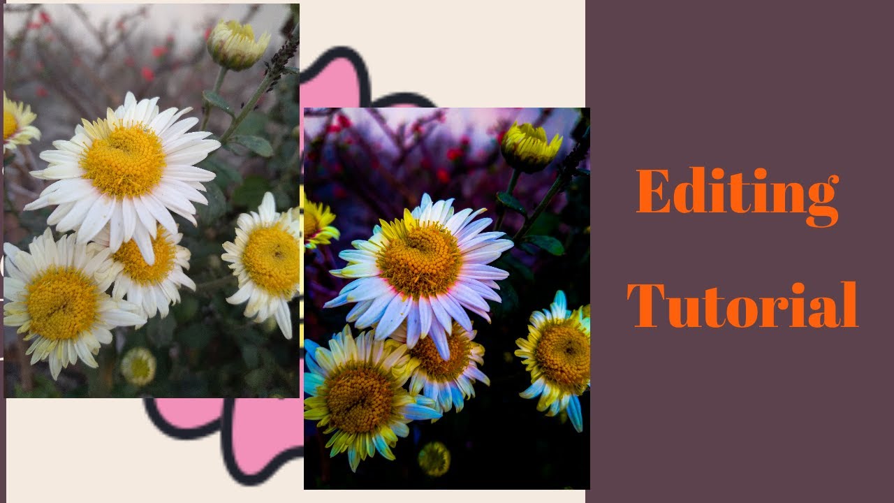 Flower Editing Tutorial with Lightroom || Crazy Go - YouTube