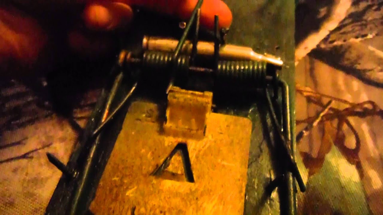 new and improved modified rat trap for squirrel and 40 subscribers ...