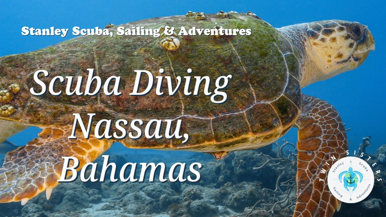 Scuba Diving Nassau Bahamas Twin Sisters Part 2 May 2022 - YouTube