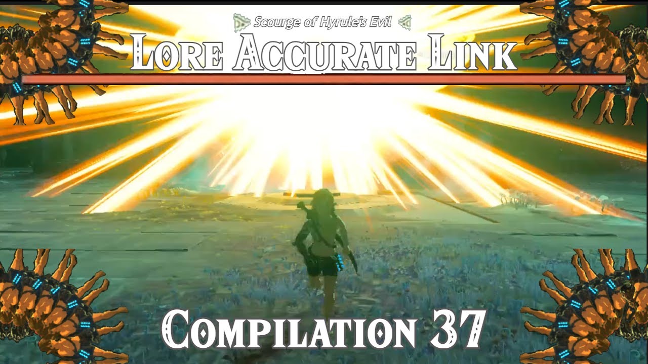 The Scourge of Hyrule's Evil: Lore Accurate Link Compilation 37 - YouTube