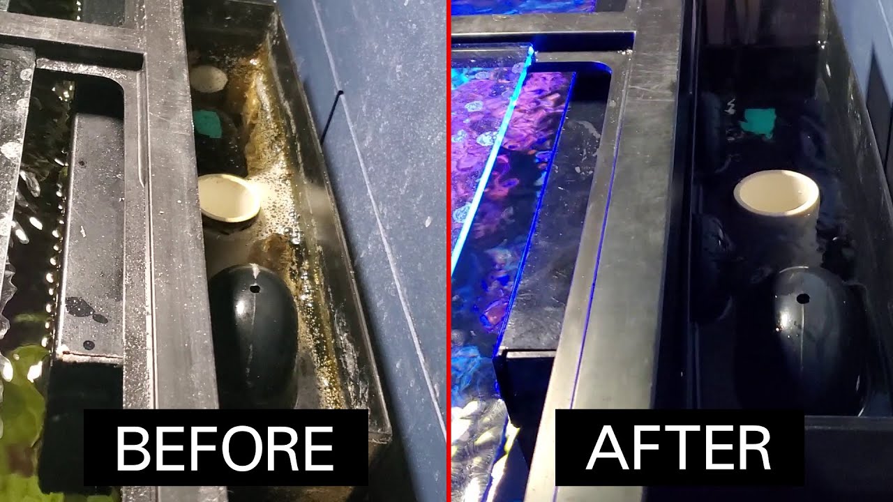 Resealing a reef tank overflow on a 6 year old tank - YouTube