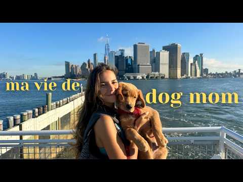 25 ans et j'adopte mon 1er chien à New York.