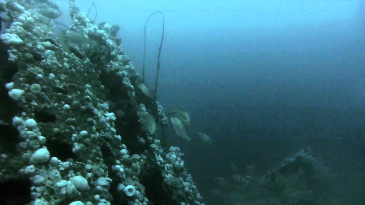 A dive on HMS Untiring - YouTube