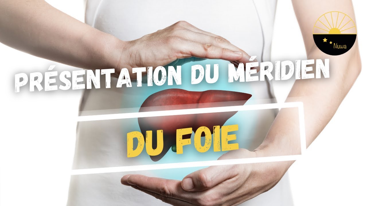 Présentation du méridien du foie et localisation des points - YouTube