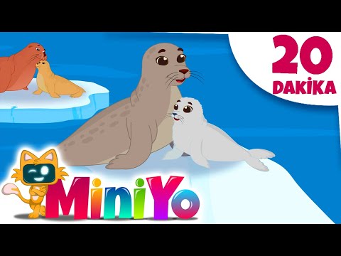Mors - Fok - Denizaslanı Şarkısı + Miniyo Su Altı Şarkıları | 20 Dakika