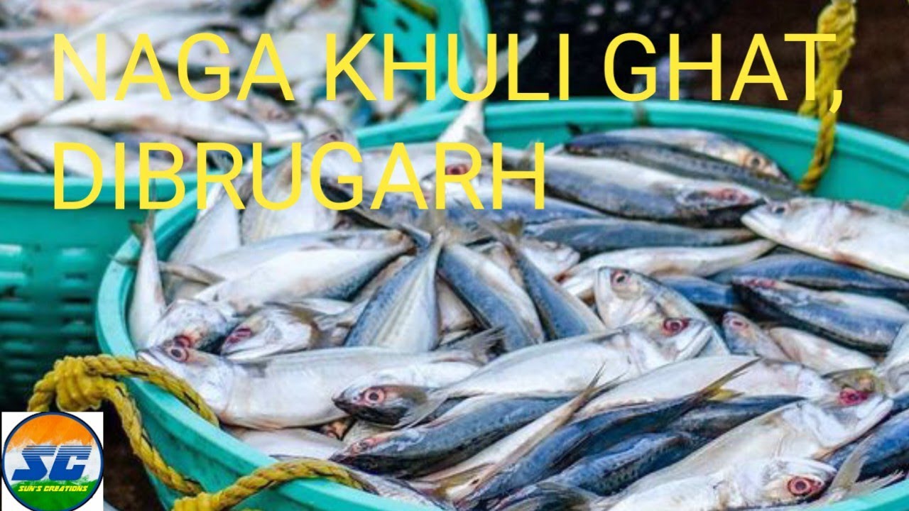 NAGA GHULI GHAT II The Brahmaputra River II Dibrugarh(Assam) - YouTube