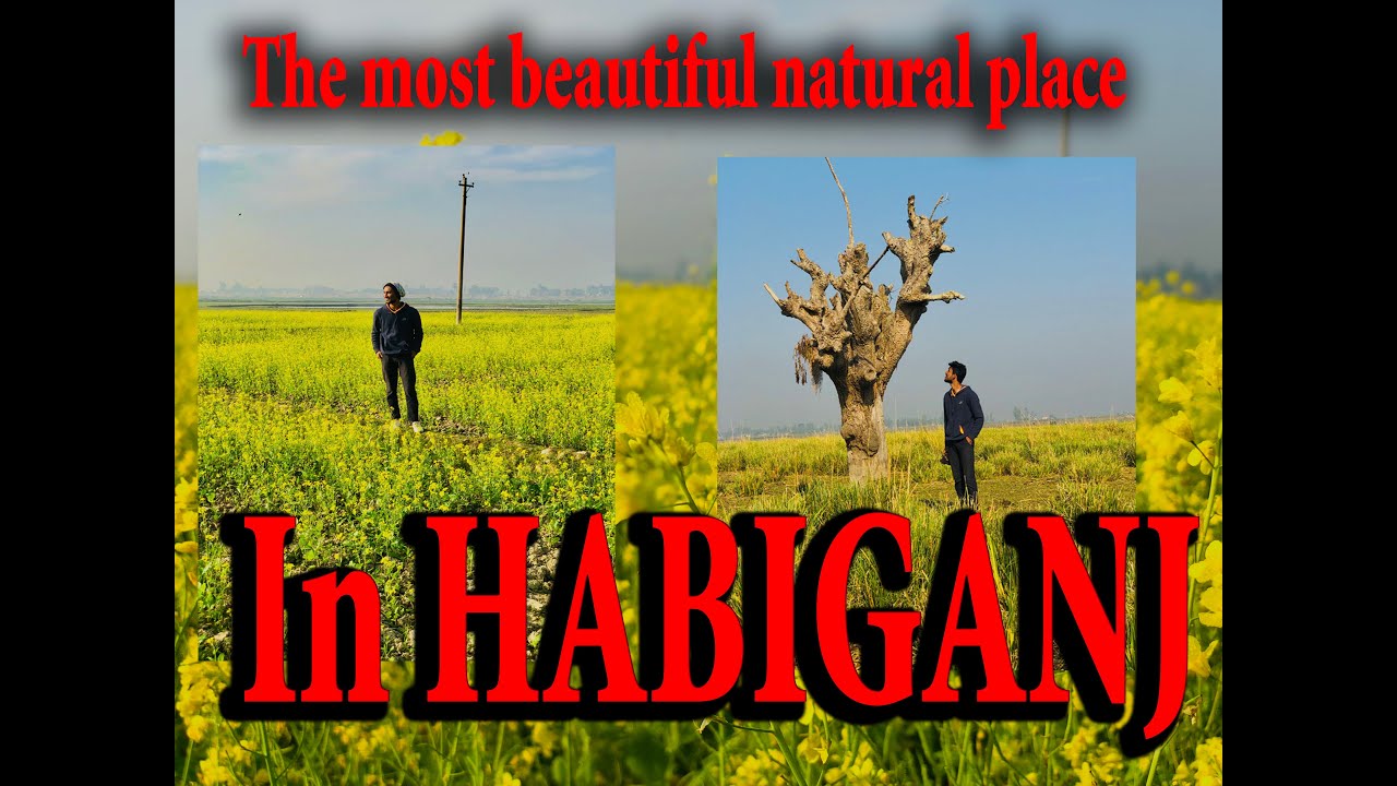 The most beautiful natural place in Habiganj ️ - YouTube
