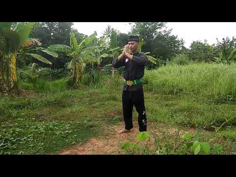Pencak silat betawi kombinasi