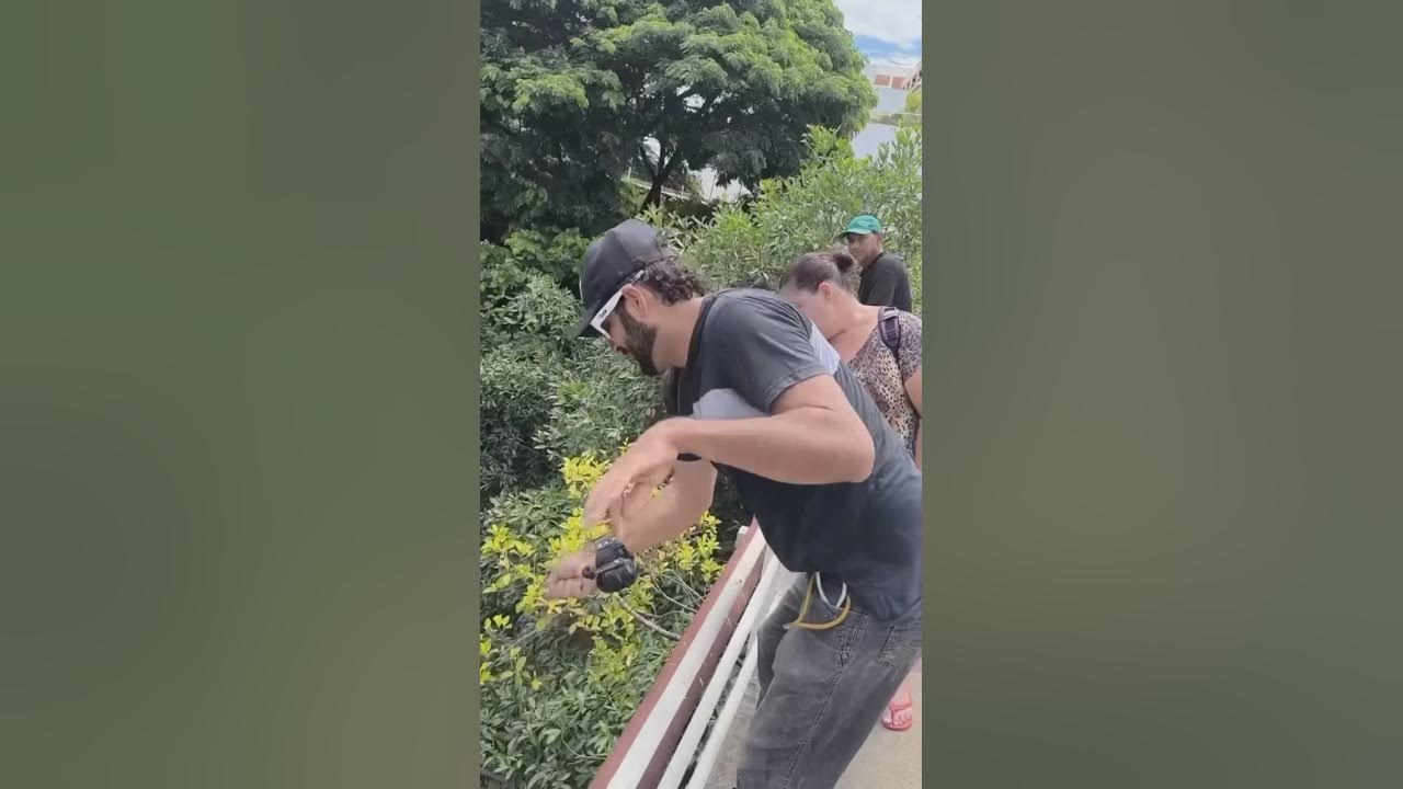 Eles não aceitaram😅😁 - YouTube