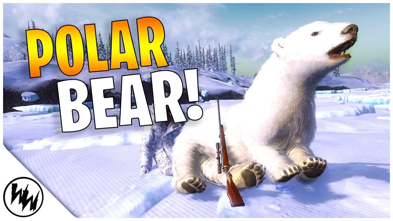 POLAR BEAR HUNTING! | theHunter: Classic - YouTube