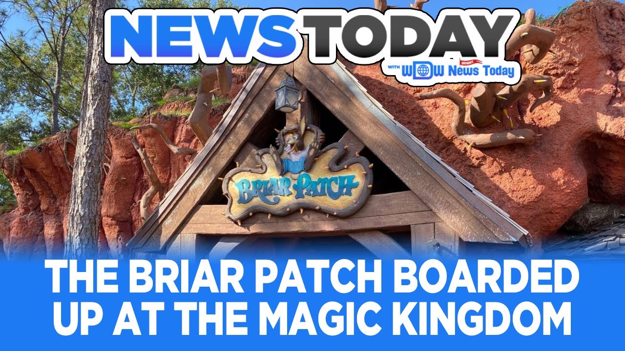 The Briar Patch Boarded Up at the Magic Kingdom - NewsToday 8/5 - YouTube