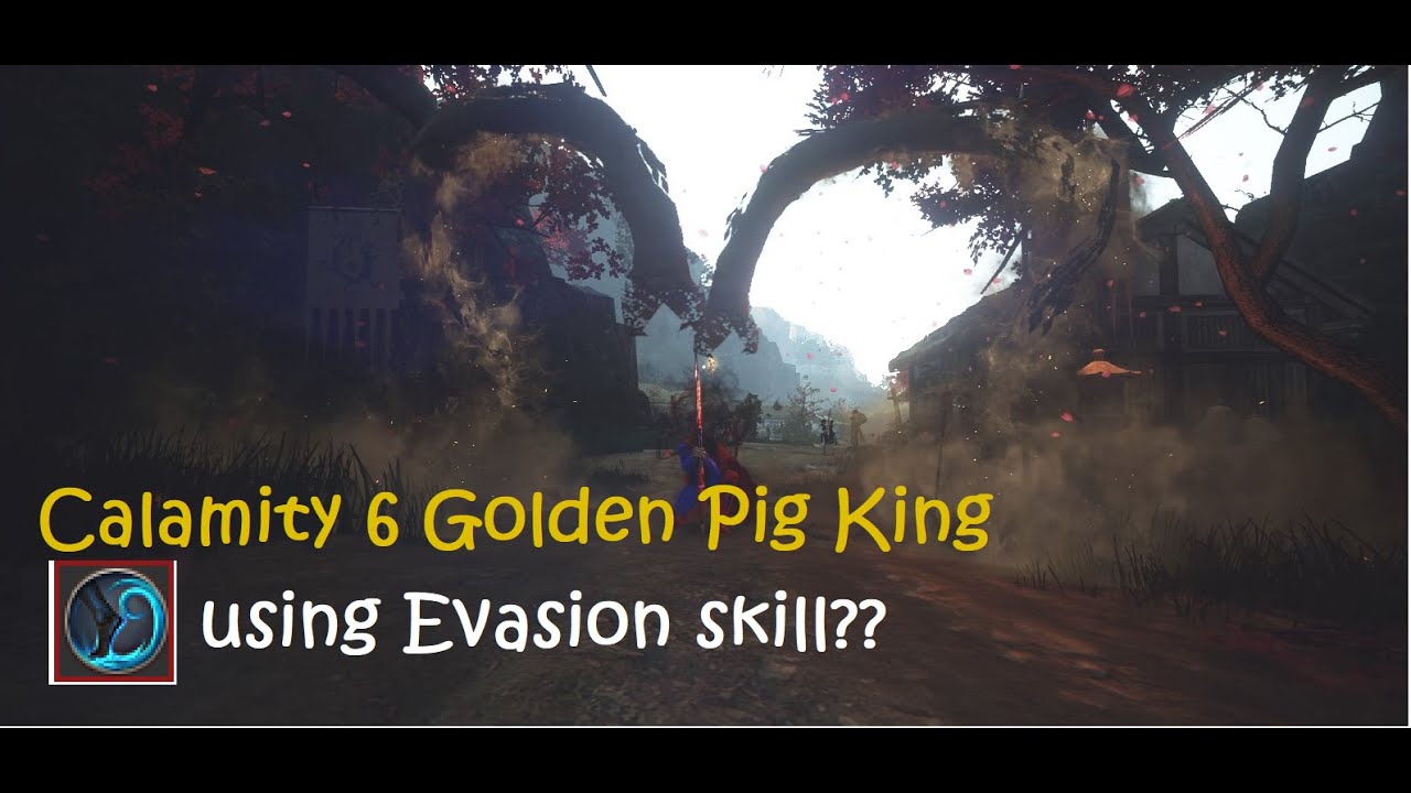 Calamity 6 Golden Pig King: Awakening Hashashin ft. Evasion Skill - YouTube