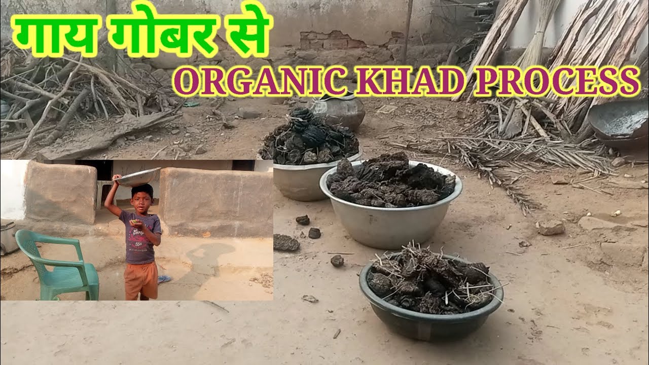 Odisha ruler village lifestyle! organic khad process! SADRI VLOGS ...