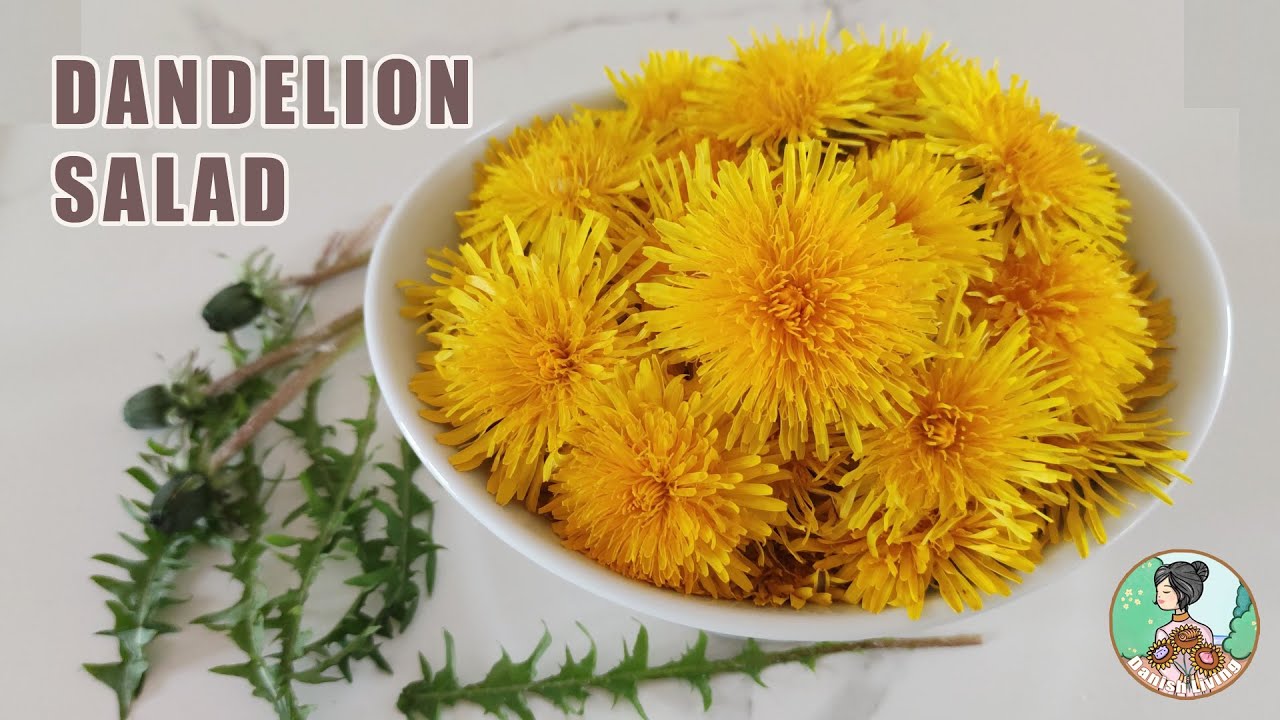 Dandelion flower salad recipe within 5 minutes | EASY TO MAKE&HEALTHY ...