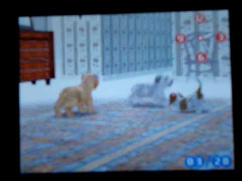 Nintendogs Dancing / Dançando - YouTube