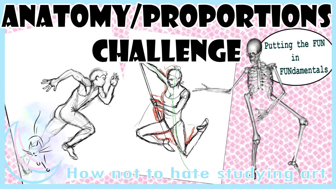 How to Make Studying Anatomy Enjoyable || The Art Study Challenge - YouTube