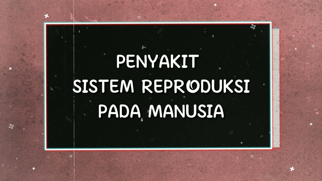 Sebutkan Penyakit Penyakit Pada Sistem Reproduksi Manusia Homecare24