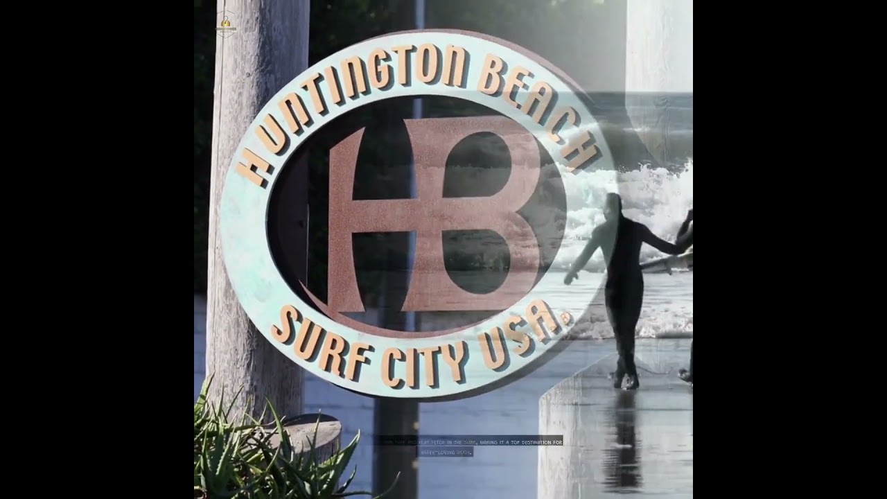 Top 03 Dog-Friendly Travel Destinations for Your Next Adventure