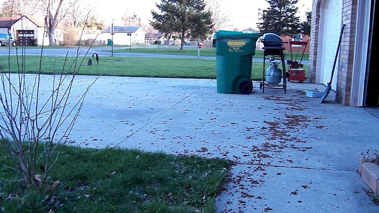 kodak easyshare max z990 sample video - YouTube