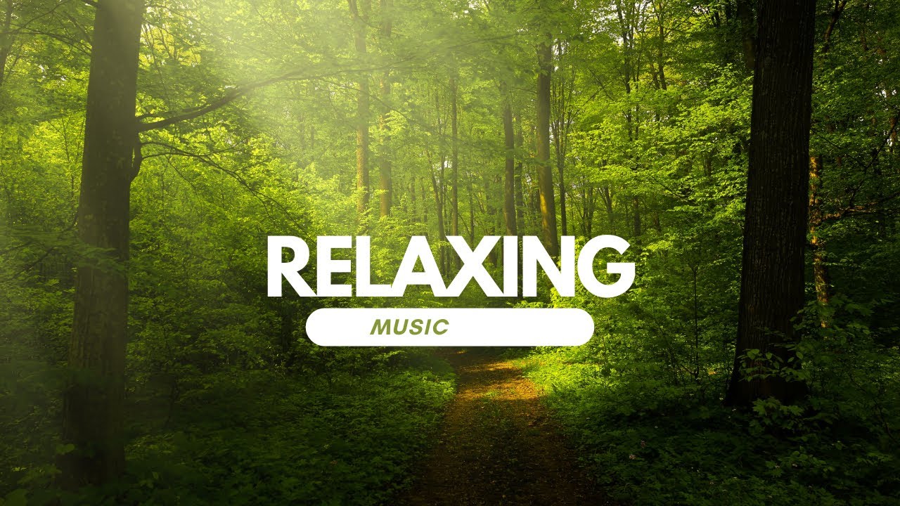 jazz relaxing music | relaxing instrumental music - YouTube