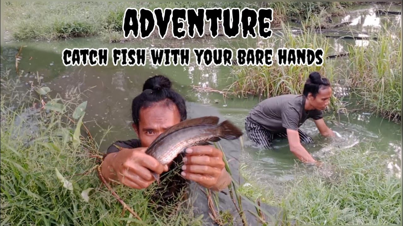 adventure fishing with bare hands get big fish - YouTube