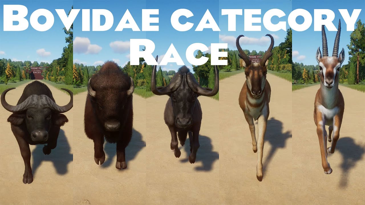 Bovidae Family Category Races in Planet Zoo included Wildebeest ...