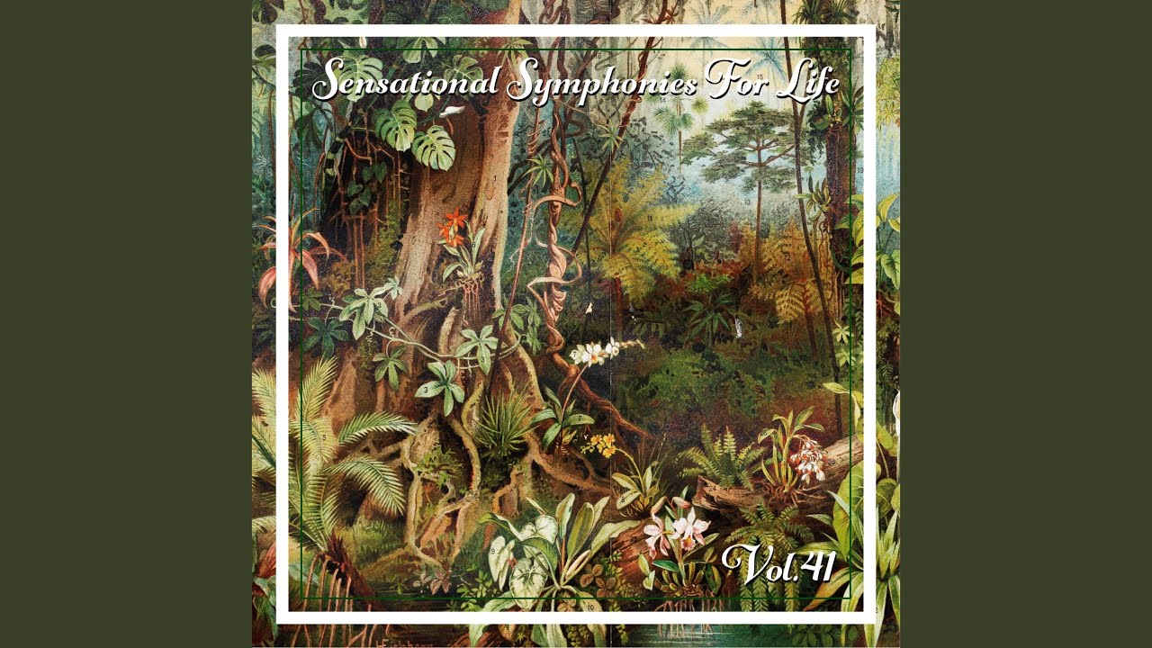 Boyce: Symphony No.3 in C Major - 2. Vivace - YouTube