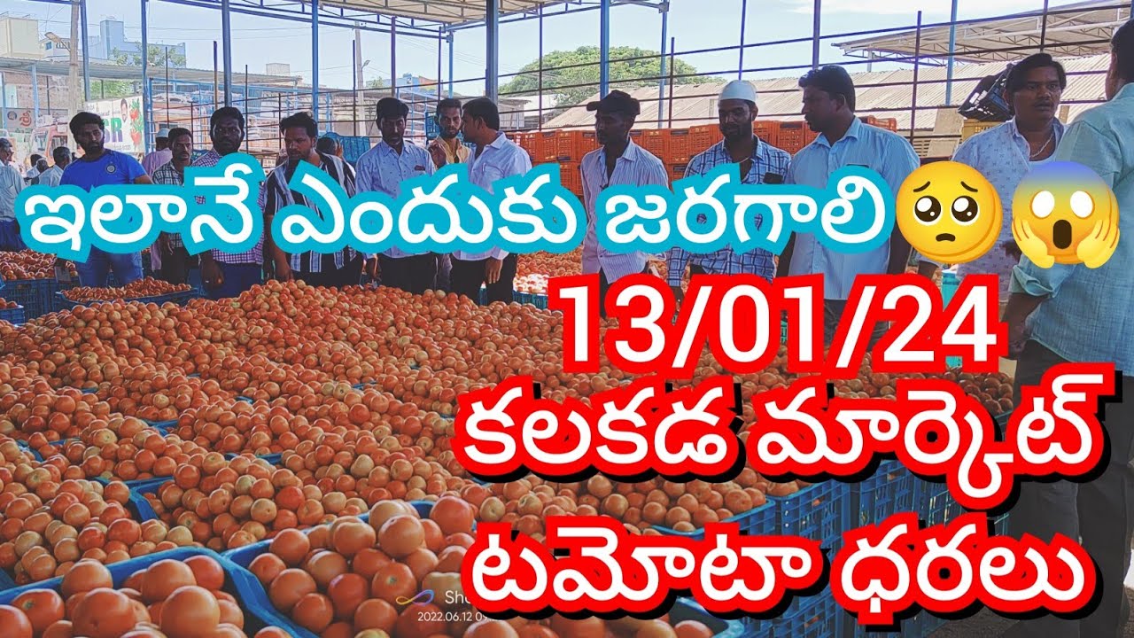 13-01-24 Kalakada Tomato Market price Today || Today Tomato Market Rate ...