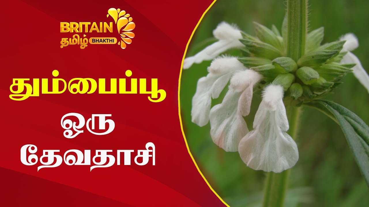 தும்பைப்பூ - ஓரு தேவதாசி | Thumbai Poo | Lord Sivaperuman | Britain ...