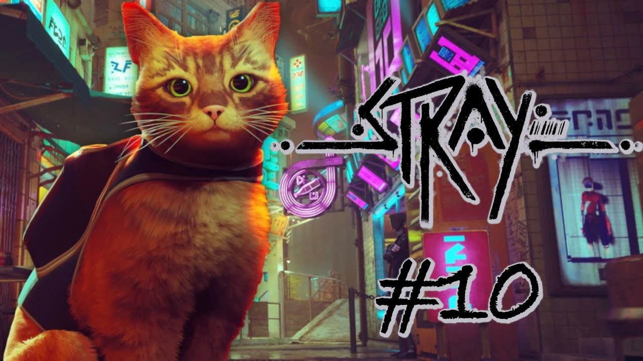 Treffen mit dem Doc 🐈 Stray [10] - YouTube