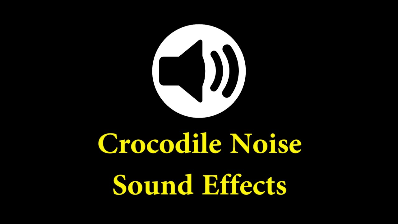 Crocodile Noise Sound Effects - Cartoon Sound Effect - sfx free - YouTube