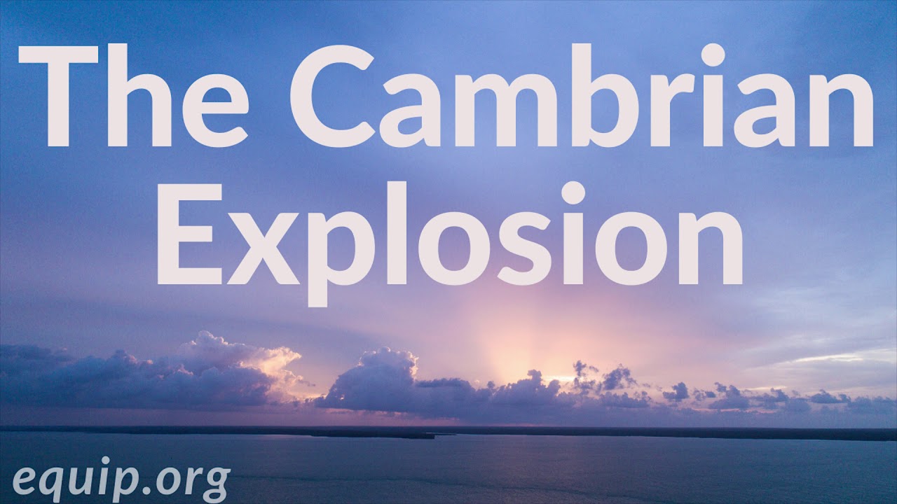 The Cambrian Explosion Explained - YouTube