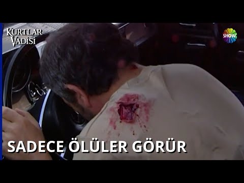 Aslan Akbey'in ölümü (SHOW TV) - KURTLAR VADİSİ