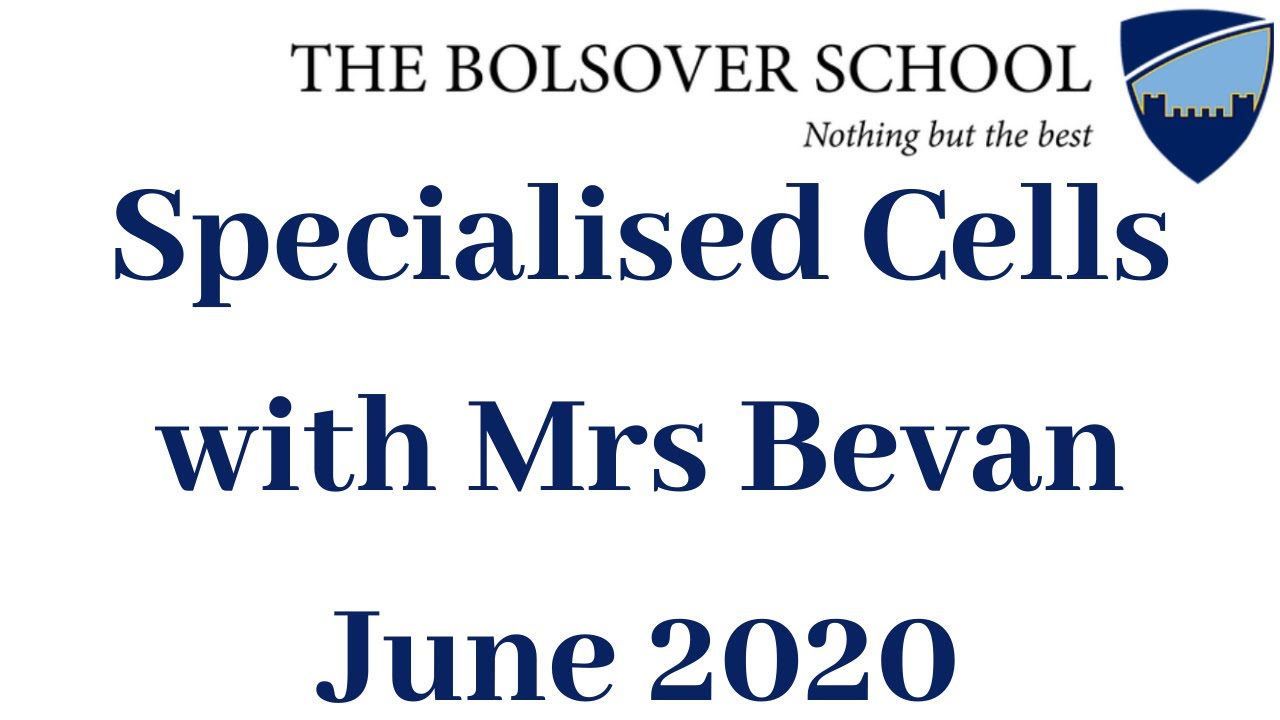 Specialised Cells with Mrs Bevan | The Bolsover School - YouTube