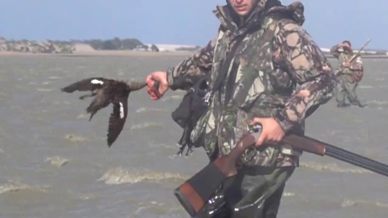 The violent activity of duck shooting in Victoria, Australia - YouTube