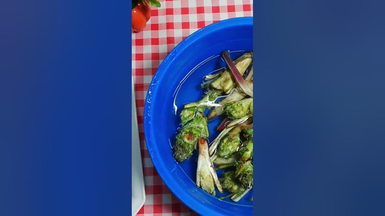 العكوب وما إدراك ما العكوب طريقته بالتفصيل على قناتي Maisrecipes Youtube