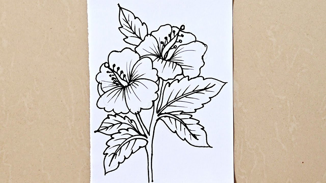 How to Draw a Flower|Beautiful flower Drawing|Easy Flower Drawing ...