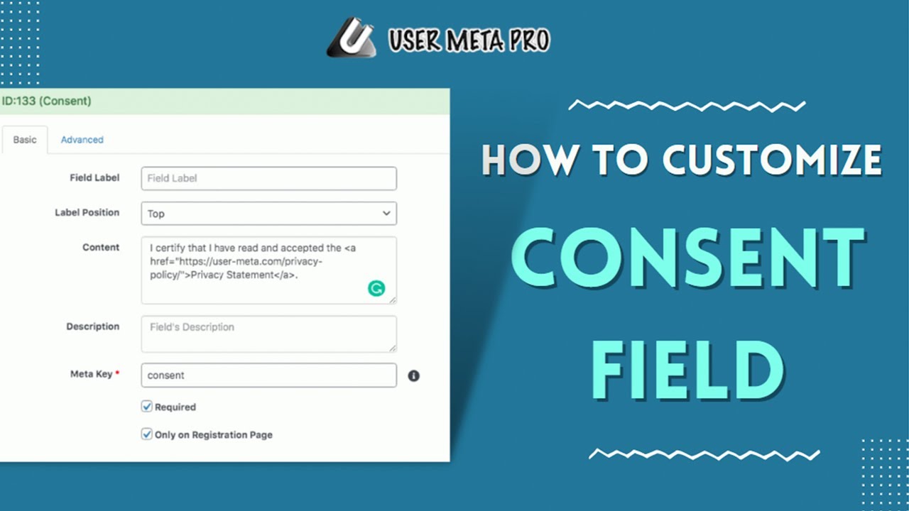 How to Add Consent Fields to Your WordPress Form | User Meta Pro - YouTube