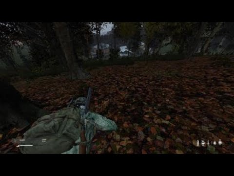 Dayz ghost shots before kill - YouTube