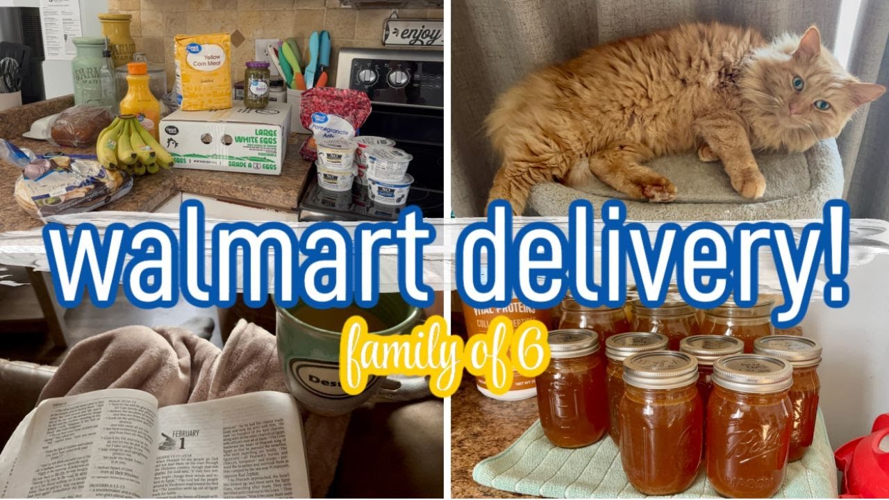 TINY WALMART DELIVERY ORDER! - YouTube