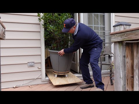 How To Move Outdoor Planters