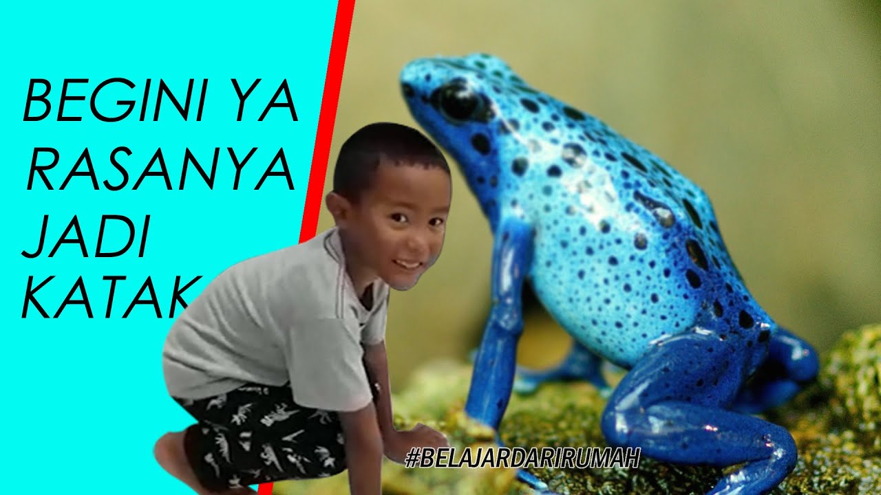 Tugas Kelas 1 SD: Lompat Katak_AdikCom Official - YouTube