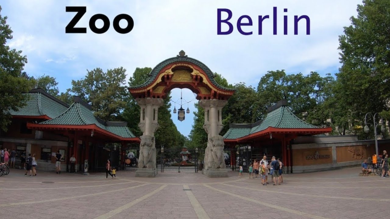 ZOO IN THE CITY OF BERLIN GERMANY, Zoologischer Garten Berlin🇩🇪 - YouTube