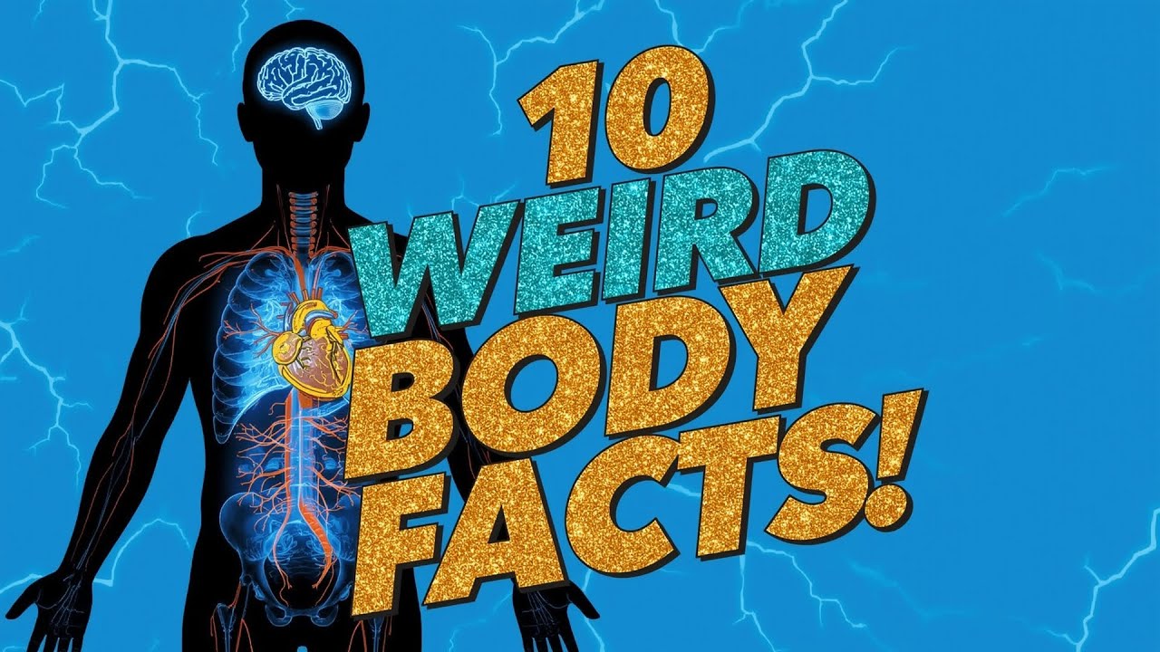 10 Weird Things Your Body Does That You Didn’t Know! - YouTube